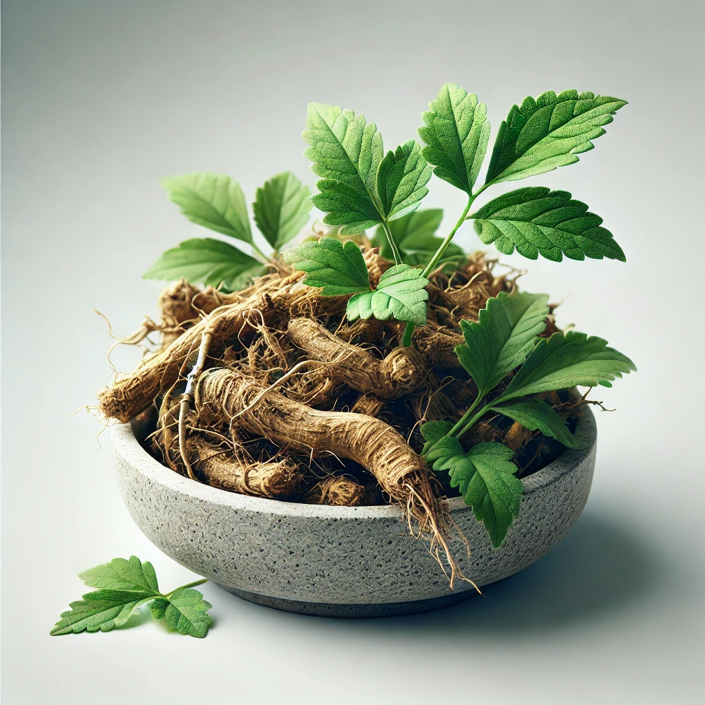 Gut Expert -Gut Experts